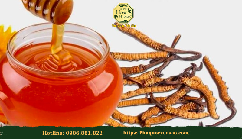 Top 5 cách phân biệt mật ong rừng và mật ong nuôi hiệu quả nhất